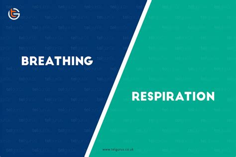 What Is The Difference Between Breathing And Respiration