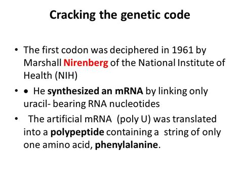 CHAPTER 17 Gene To Protein George Beadle And Edward Tatum Were Able To