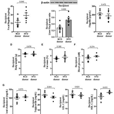 Hdl C High Density Lipoprotein Cholesterol Level Is Elevated By The Download Scientific