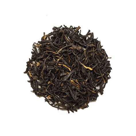 Amitea Amitea