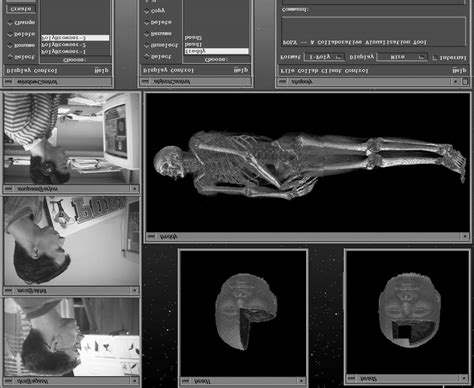 One Site In A Collaborative Visualization Interaction Modes