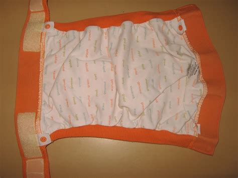 Cloth Diaper Addiction G Diapers