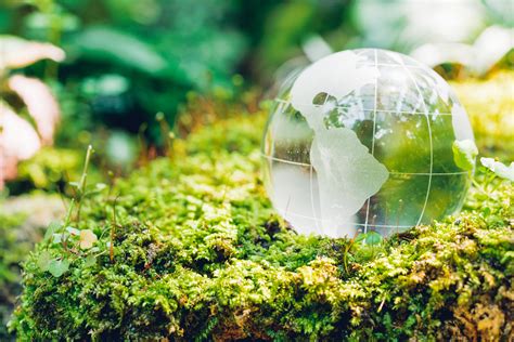 How Investors Can Navigate The Confusion Of Esg Ratings Tnglobal