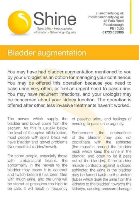 Bladder Augmentation Pdf Digestive Disorders Diseases And Conditions