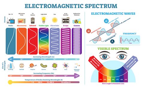 Electromagnetic Spectrum Chart Printable