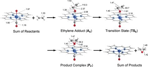 Optimized Geometries Of Reactants Ruporcoo À And Ethylene