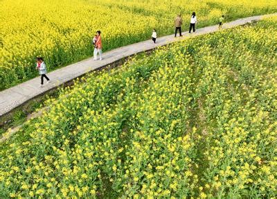 湖南道县户外享春光 人民图片网