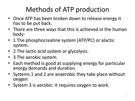PPT ATP ENERGY PRODUCTION PowerPoint Presentation Free Download ID