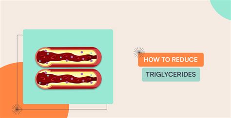 How To Reduce Triglycerides Symptoms And Its Natural Cure