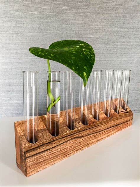 Diy Plant Propagation Station Artofit