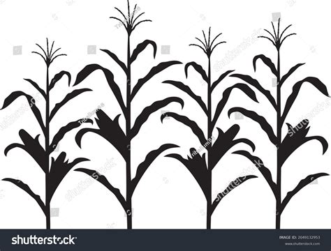 Corn Stalk Black White Vector Design Stock Vector Royalty Free