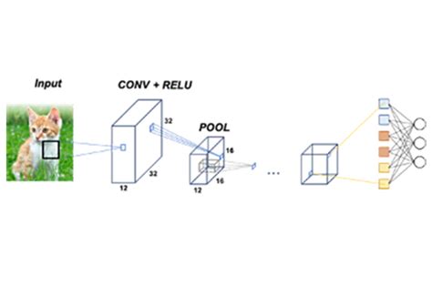 deep neural architectures digital sciences initiative