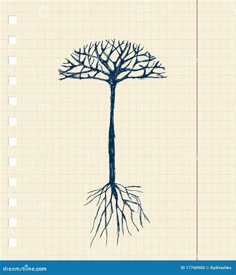 Sketch Tree With Roots For Your Design Stock Vector Illustration Of White Roots 17760903