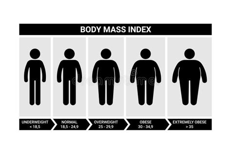 Stick Figure Man Body Mass Index Vector Illustration Set Male Bmi