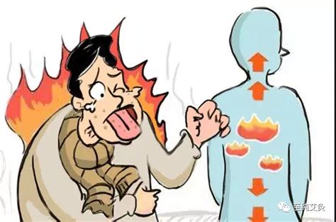 寒气重心火旺怎么调理寒湿有痰心火旺湿气寒气重心火旺饮食第3页大山谷图库