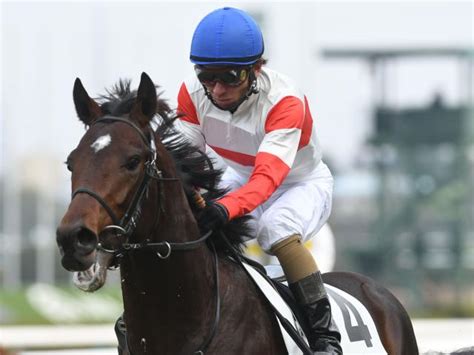 【メイクデビュー阪神レース後コメント】ダノンマジェスティ和田竜二騎手ら 競馬ニュース Netkeiba