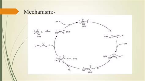 Homogenous Catalysis And Biocatalysis Pptx