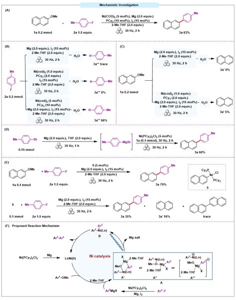 四川大学练仲课题组angew：机械化学驱动的芳基醚与芳基氟化合物之间的还原交叉偶联反应 X Mol资讯