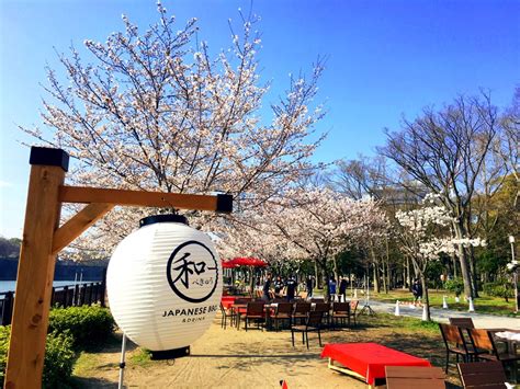 お花見ランチ あけみん先生の日記 楽天ブログ