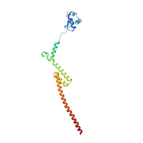 Rcsb Pdb 8g60 Mrna Decoding In Human Is Kinetically And Structurally Distinct From Bacteria