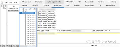 实战 一次利用哥斯拉马绕过宝塔waf