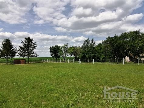 Prodaja Kuće Temerin 45m2 Nekretnine Novi Sad Cene Prodaja I Iznajmljivanje Nekretnina