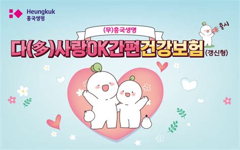 흥국생명 무배당 다 多 사랑OK간편건강보험 갱신형 출시 전자신문