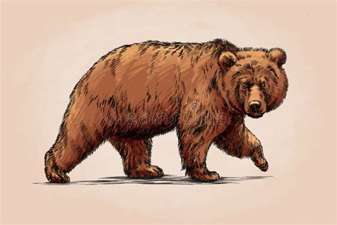 Медведь с штурмовой винтовкой автомата Калашниковаа Иллюстрация штока иллюстрации