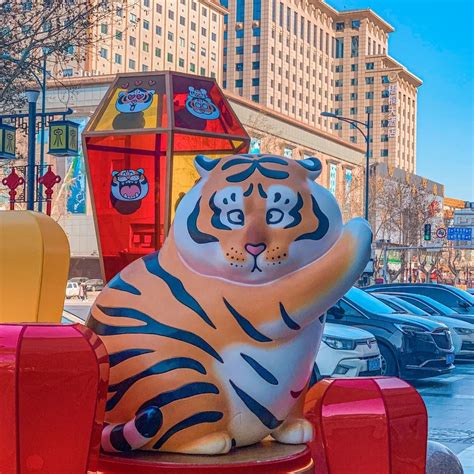 Seventeen Community Posts 翻翻相册，原来2021年的时候就已经“偶遇”hoshi啦哈哈哈哈哈 🐯🐯