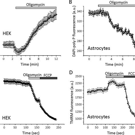 Fluorescence Spectrum Of Dapi In The Presence Of Mitochondria A