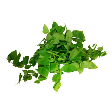 Fresh Quita Maldicion Plant