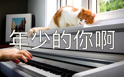 【钢琴】《年少的你啊》浩然hr 罗曼耶卓 Oskarpianist Oskarpianist 哔哩哔哩视频