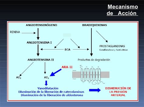 Iecas Mecanismo De Ação Braincp
