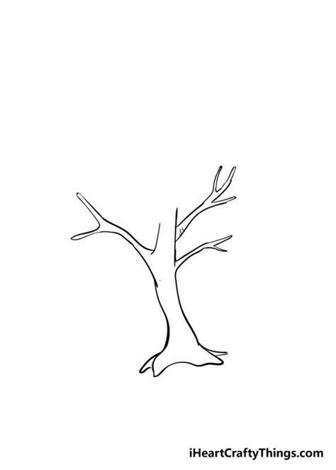 Branches Drawing How To Draw Branches Step By Step