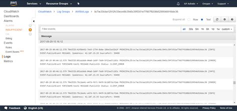 Publish Request Successful But The Data Not Showing Up In Aws Server