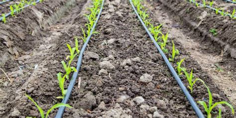 Modern Methods Of Irrigation Geeksforgeeks