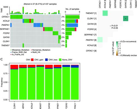 Mutation Analysis Of 8 Key Genes In Stad A Waterfall Map Of