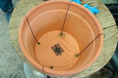 Setting The Tree Bonsai Tonight