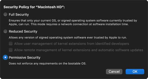 How To Enable System Extensions On Macos Mediaseal