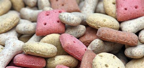 Biscoitos Caseiros Para Cães E Gatos 6 Receitas Saborosas