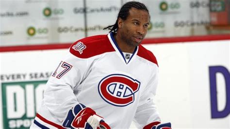 Laraque To Quit Chlpa Nbc Sports