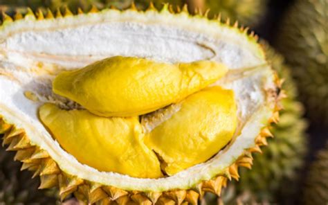 China S Growing Appetite For Durian Spurs Market Innovations Nation