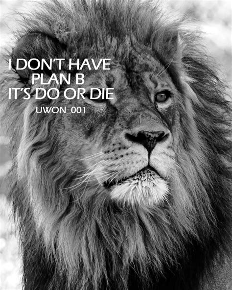 Do Or Die Quotes