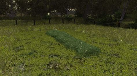 Grass Texture Ls2013 Kingmods