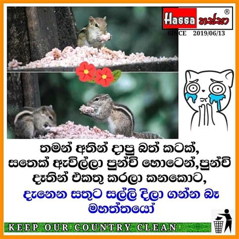 ගෙවතු වගාවට අත්වැලක් අපෙන් ගෙවතු වගාවට අත්වැලක් අපෙන්
