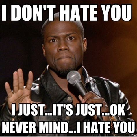 100 Best I Hate You I Hate People Funnies Images On Pinterest Funny