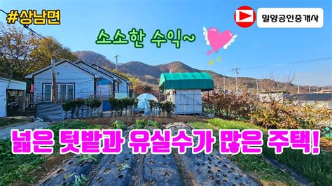 231209 밀양 상남면 넓은텃밭과 유실수가 많은 주택 Youtube