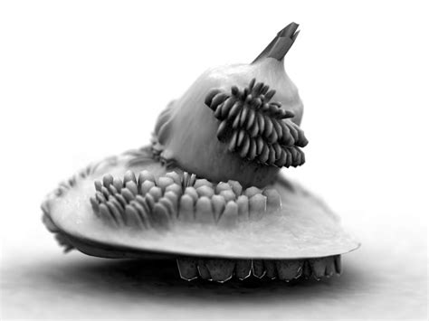 Maximilian Schönherr Depth Of Field And Occlusion Passes Using Renderman