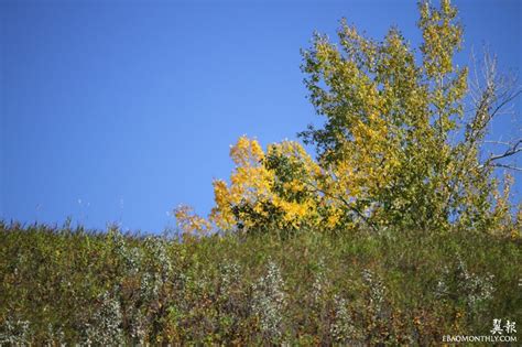 捕光捉影自然 1 Nature I 郭端翼報