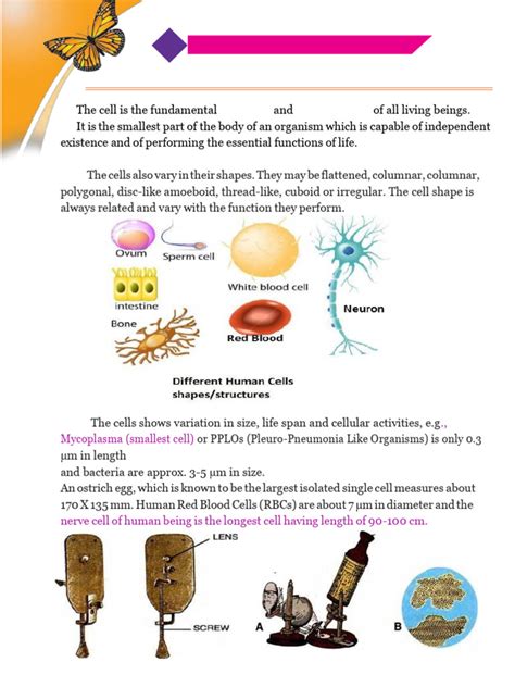 Cell Strcture And Organisation Pdf Endoplasmic Reticulum Cell